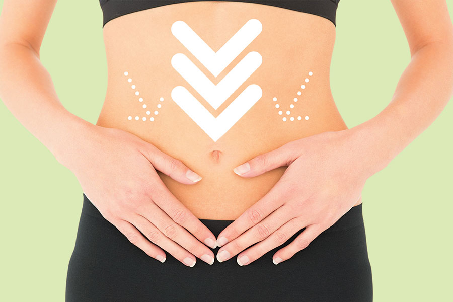 5 Lifestyle Changes to Support Gut Flora Health | Standard Process Blog ...